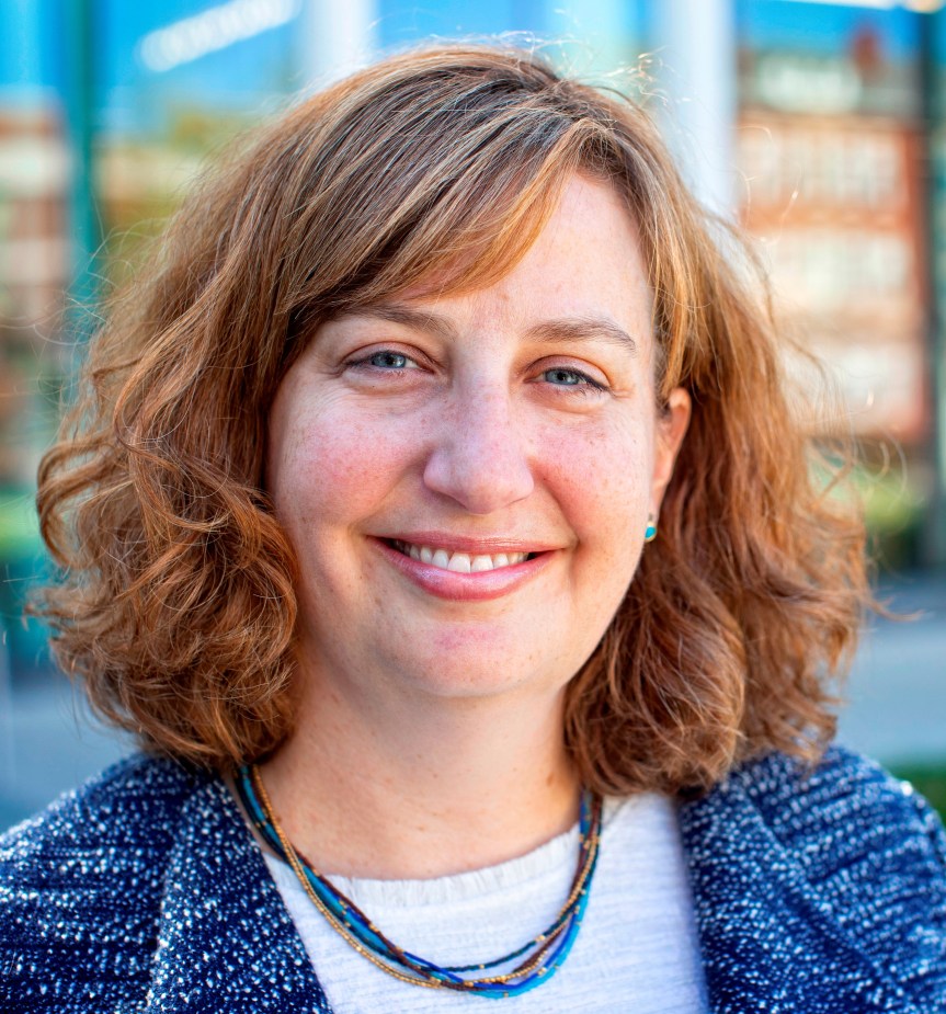 Virtual Tax Policy Colloquia – The Surly Subgroup